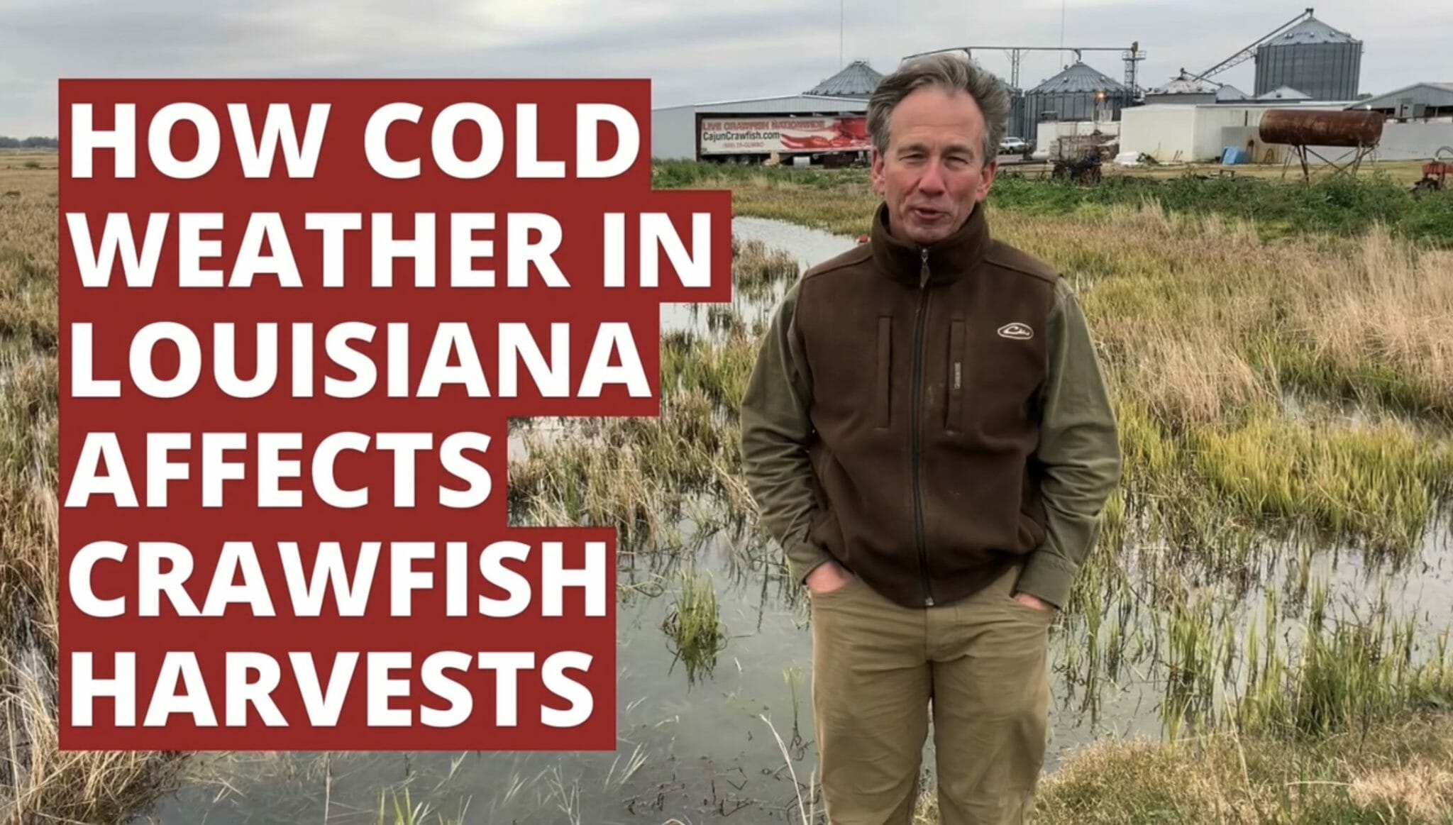 Pond Bank Talk-Cold Crawfish Update - Frugé Seafood