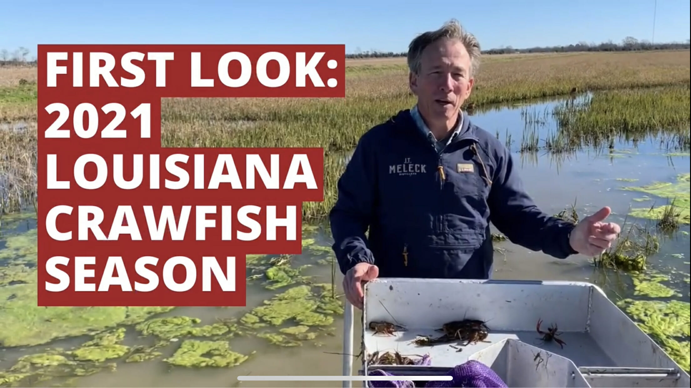 Pond Bank Talk-First Look - Frugé Seafood