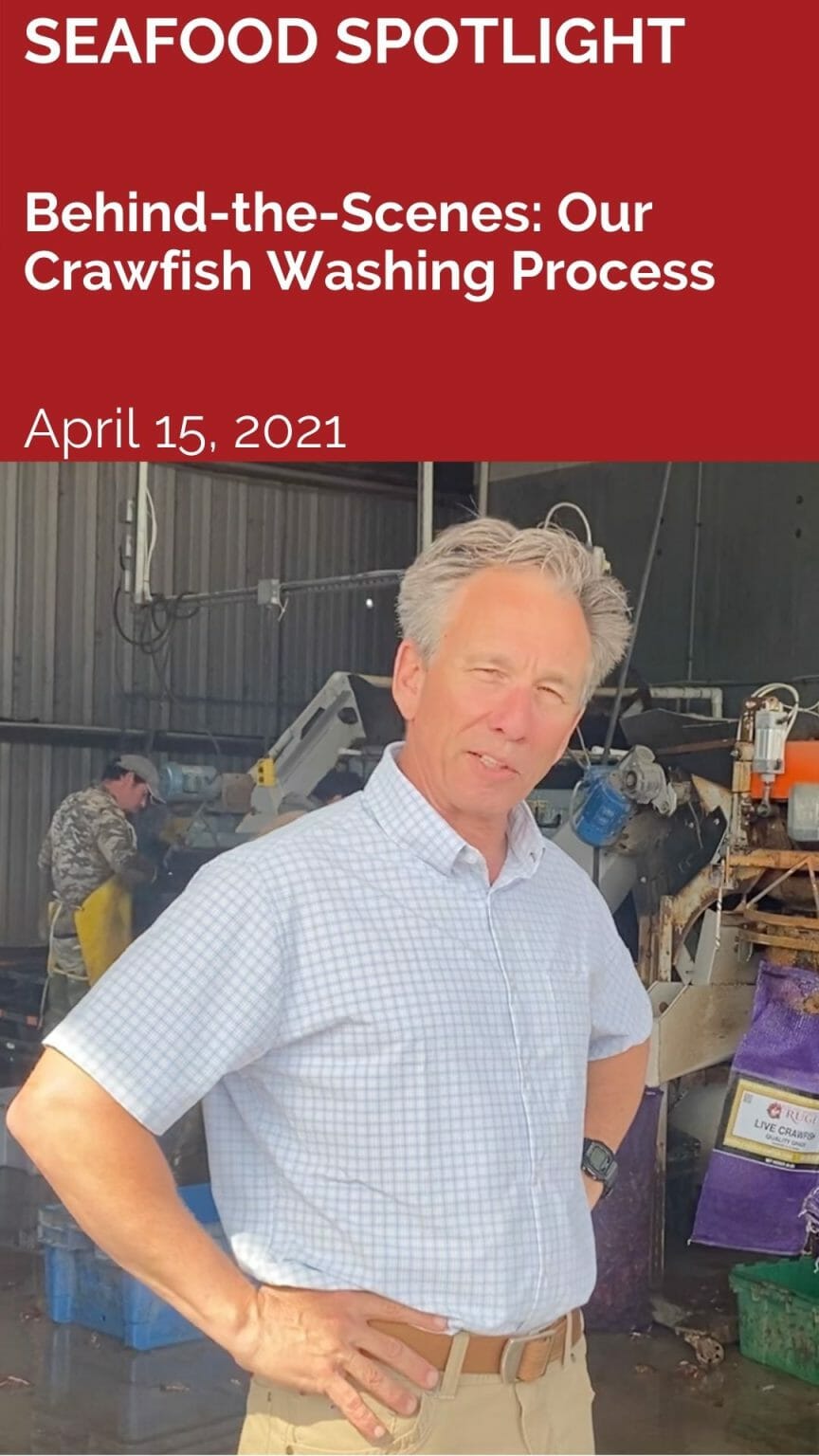 Seafood Spotlight: Our Crawfish Washing Process - Frugé Seafood