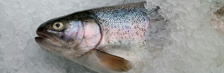 Our Story - Fruge Seafood