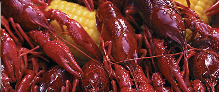 Crawfish Wholesale
