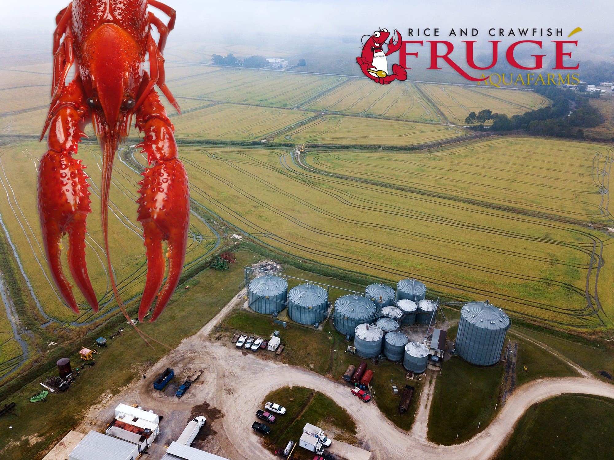 Crawfish - Frugé Seafood